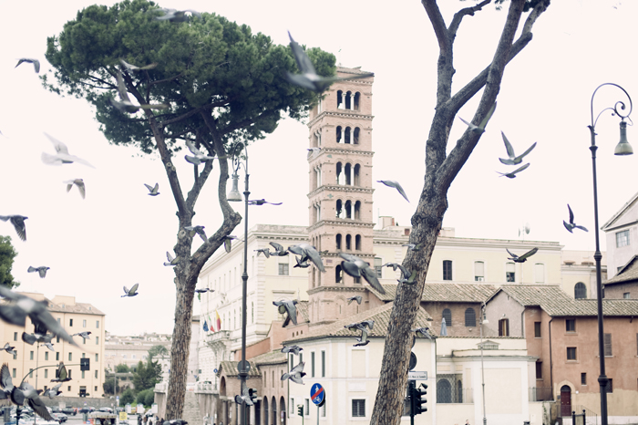 Birds in Rome - Entouriste