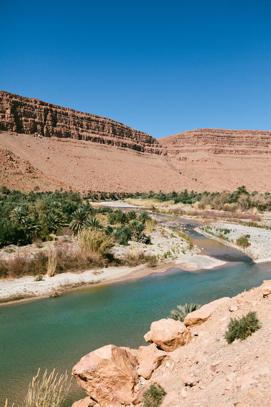 Oasis in Morocco - Entouriste