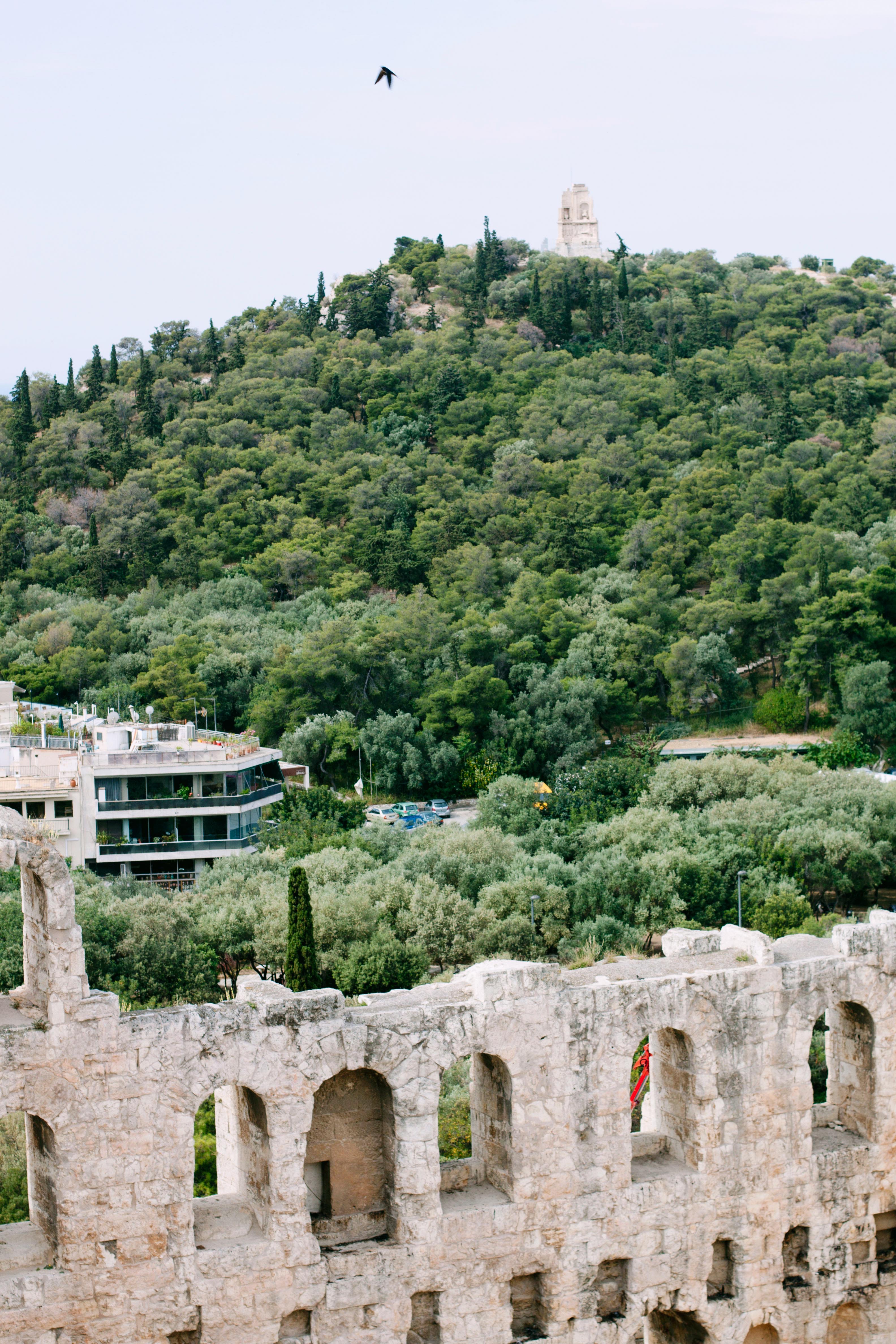 Green Landscape of Athens - Entouriste