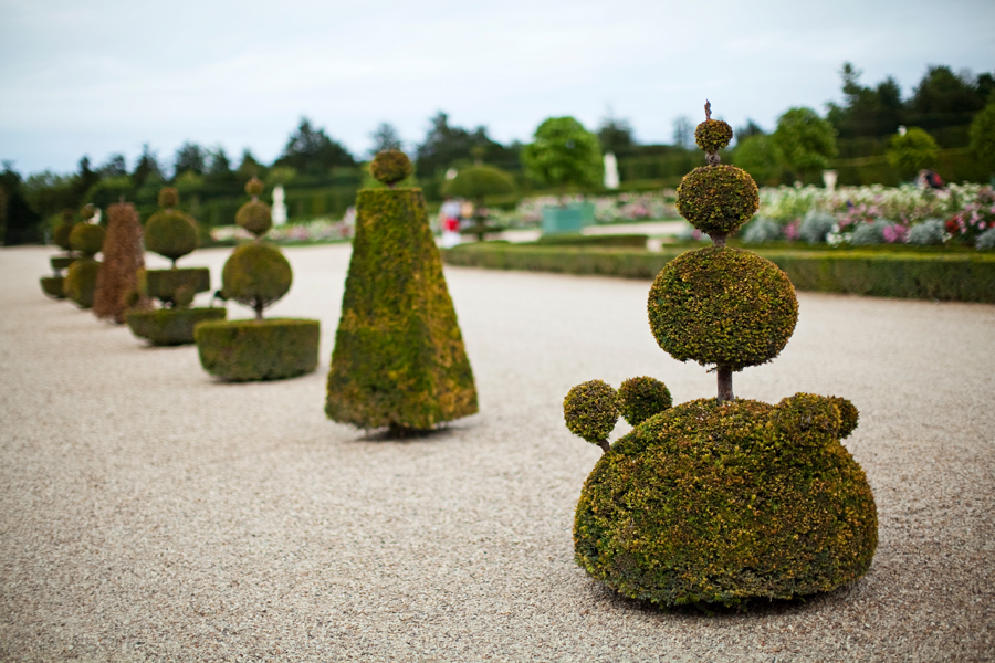 Topiaries of Versailles - Entouriste