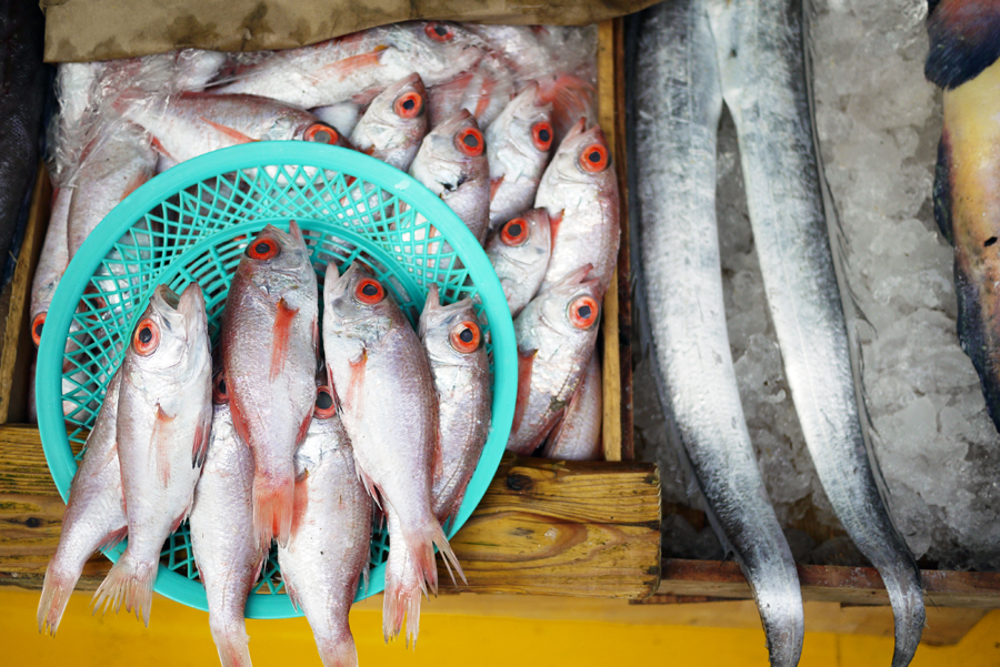 Fresh Fish in Busan - Entouriste