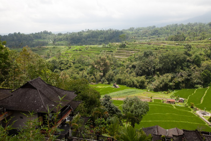 Pacung Baturiti Village Rice Terrace of Bali - Entouriste