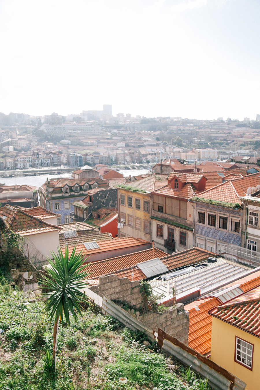 Rooftop Garden in Porto Portugal - Entouriste