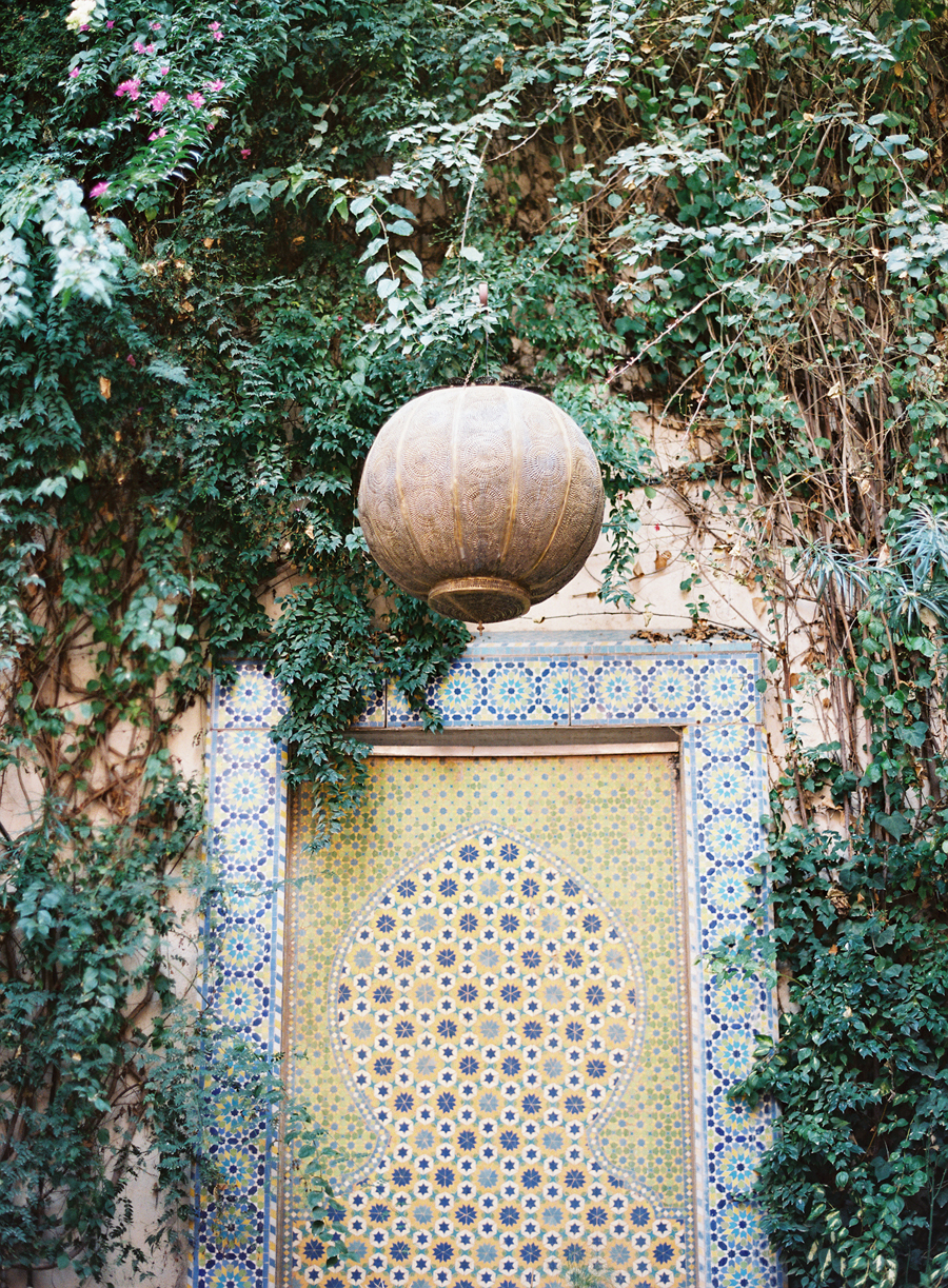 Lush Greenery of Morocco - Entouriste