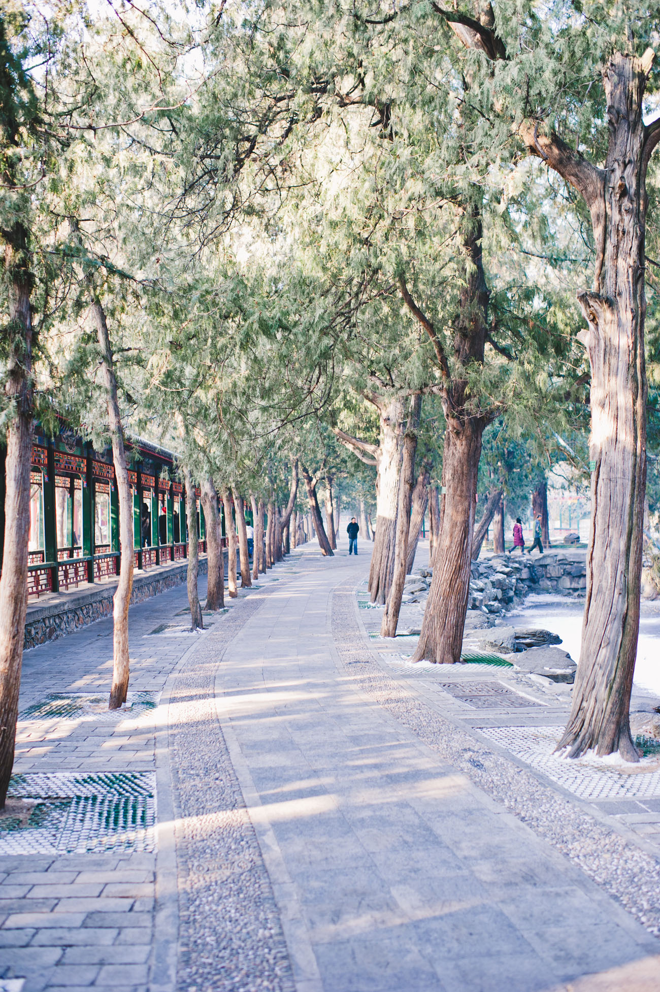 Tree Lined Path in Summer Palace - Entouriste