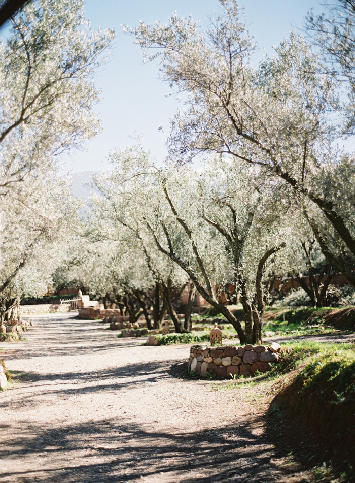 Tree Lined Walkway in Morocco - Entouriste