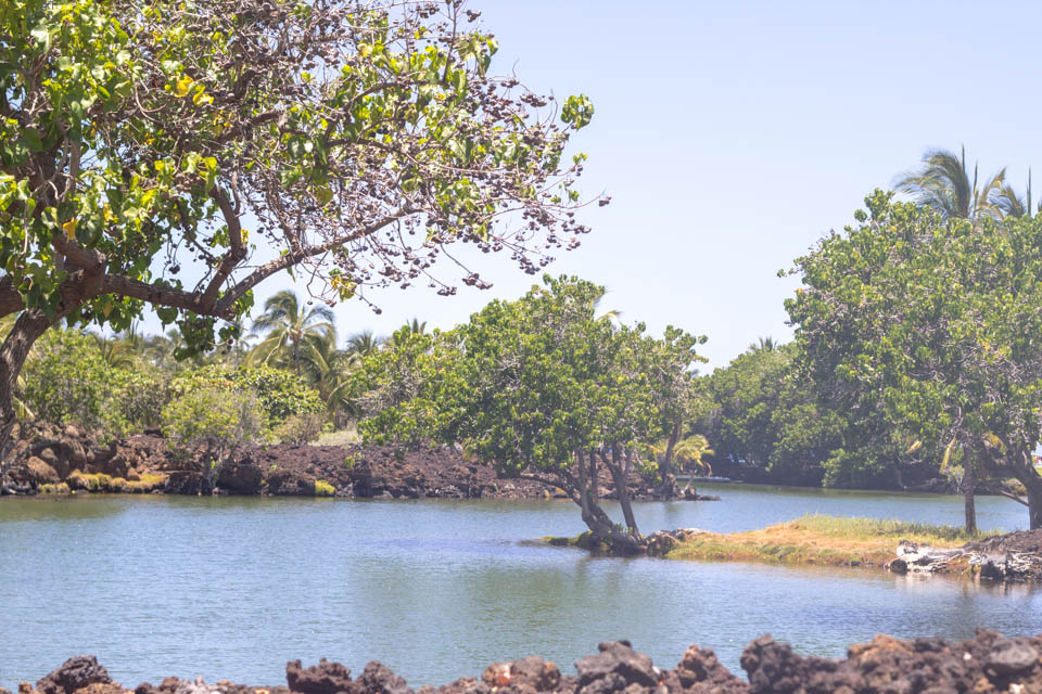 Lagoons of Hawaii - Entouriste
