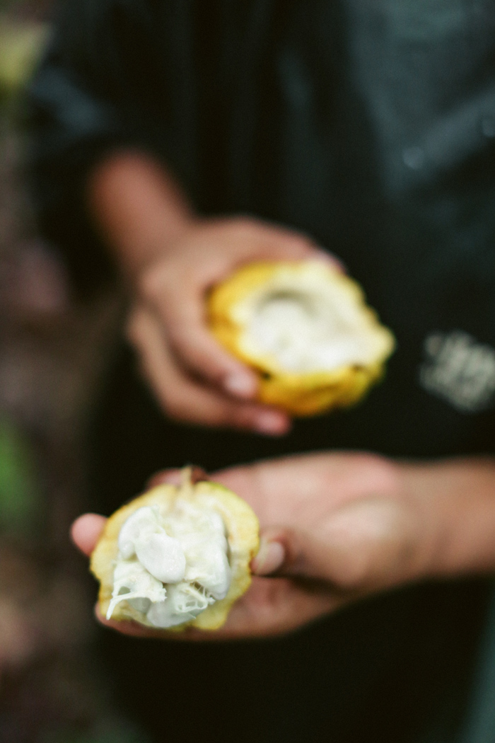 Native Fruits of Peru - Entouriste