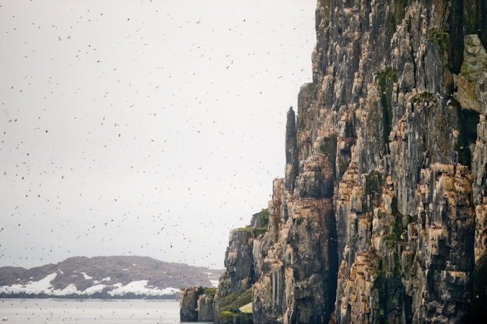 Rock Cliffs in the Arctic - Entouriste