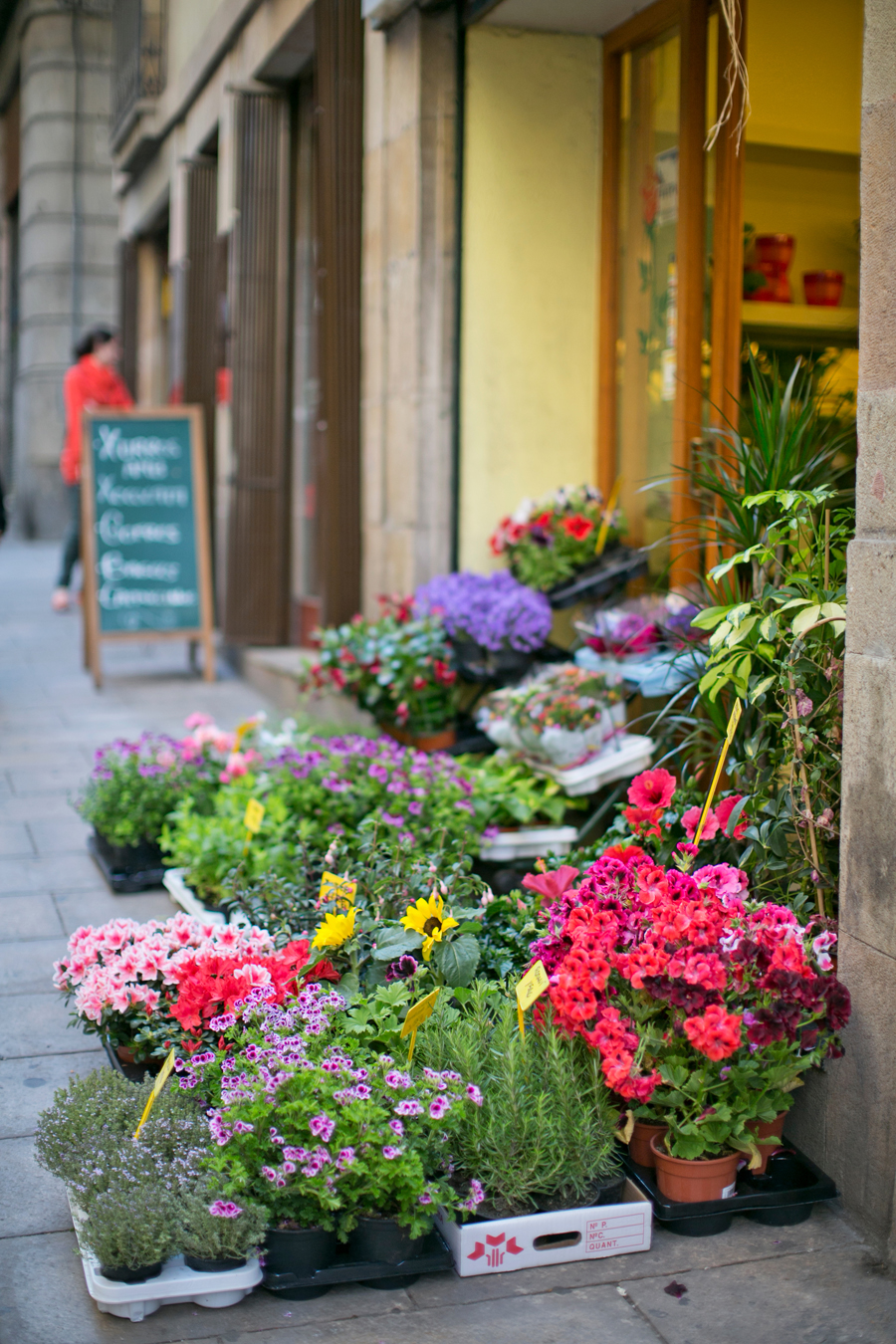 Flowers in the Streets of Barcelona - Entouriste