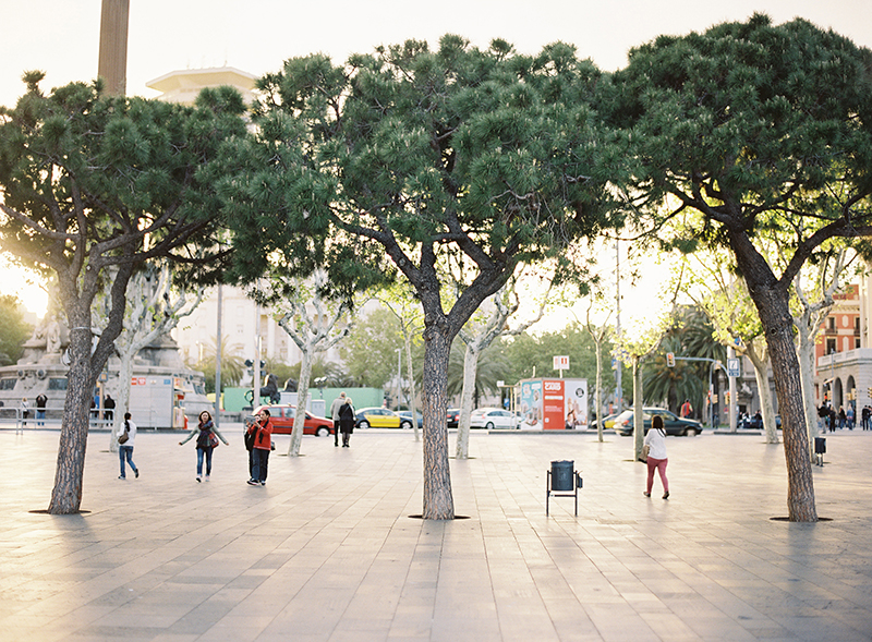 Tree Lined Plaza in Barcelona Spain - Entouriste