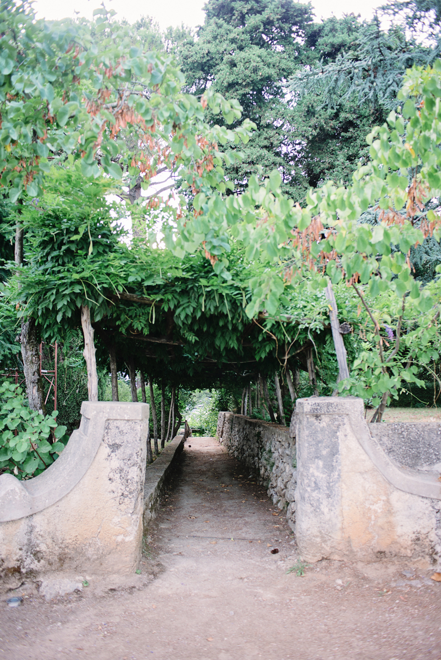 Tree Lined Path at Villa Cimbrone in Ravello Italy - Entouriste
