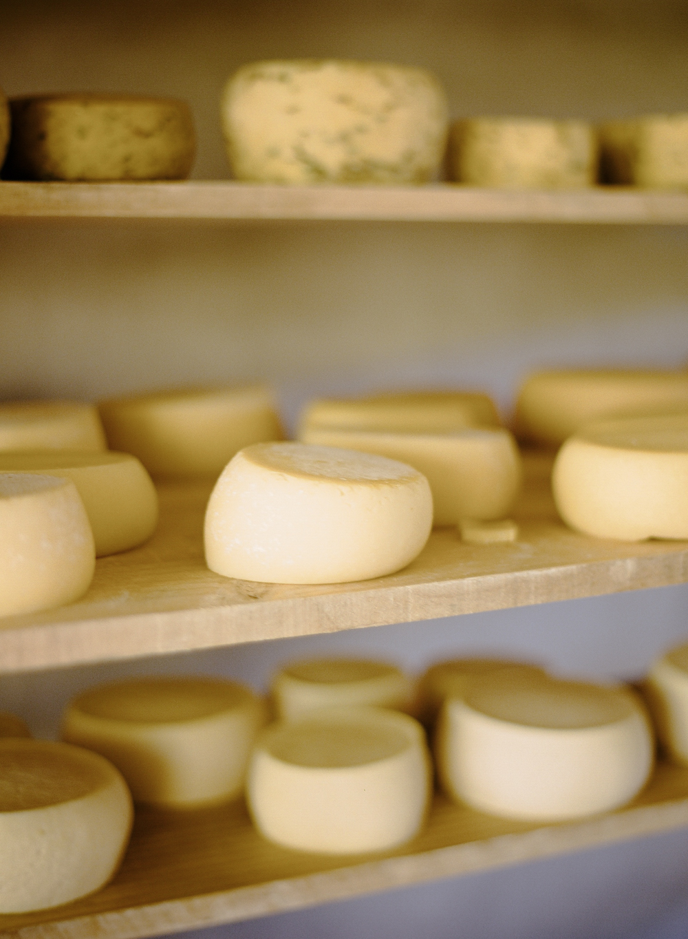 Different Products at a Costa Rica Cheese Workshop - Entouriste